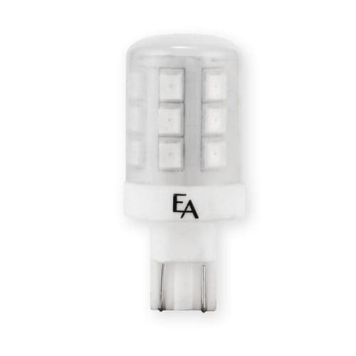 Turtle Bulbs - EmeryAllen, LLC