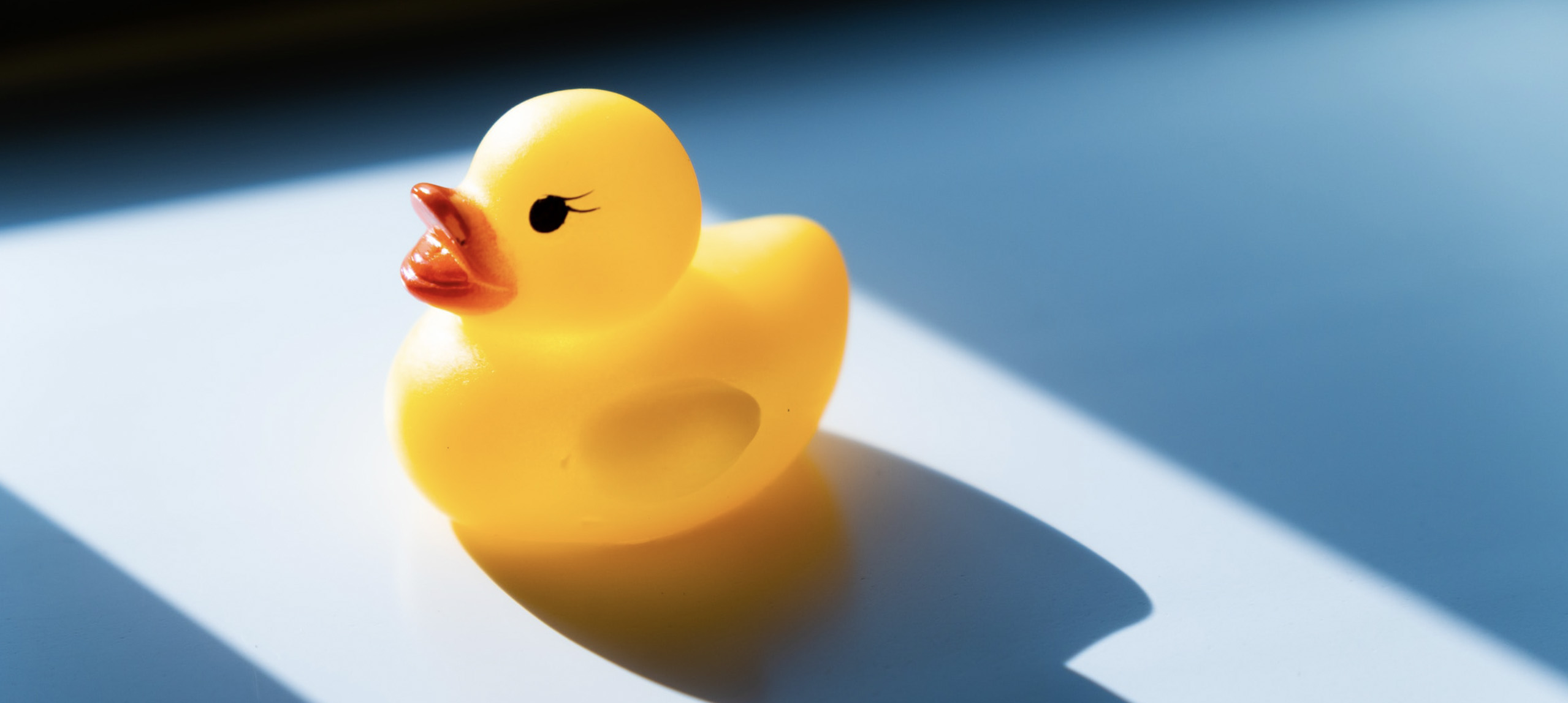 Ducks, the Grid, and LEDs - EmeryAllen, LLC