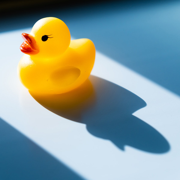 Ducks, the Grid, and LEDs - EmeryAllen, LLC