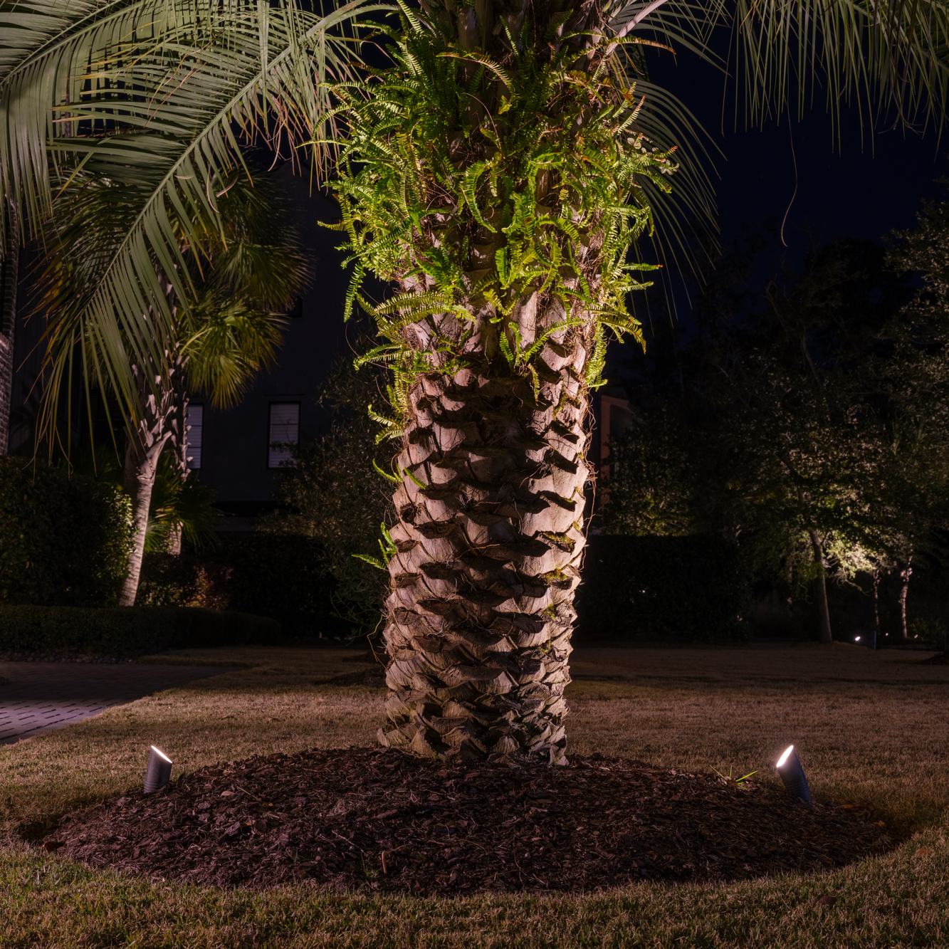 Single-Point vs. Multi-Point LED Lighting